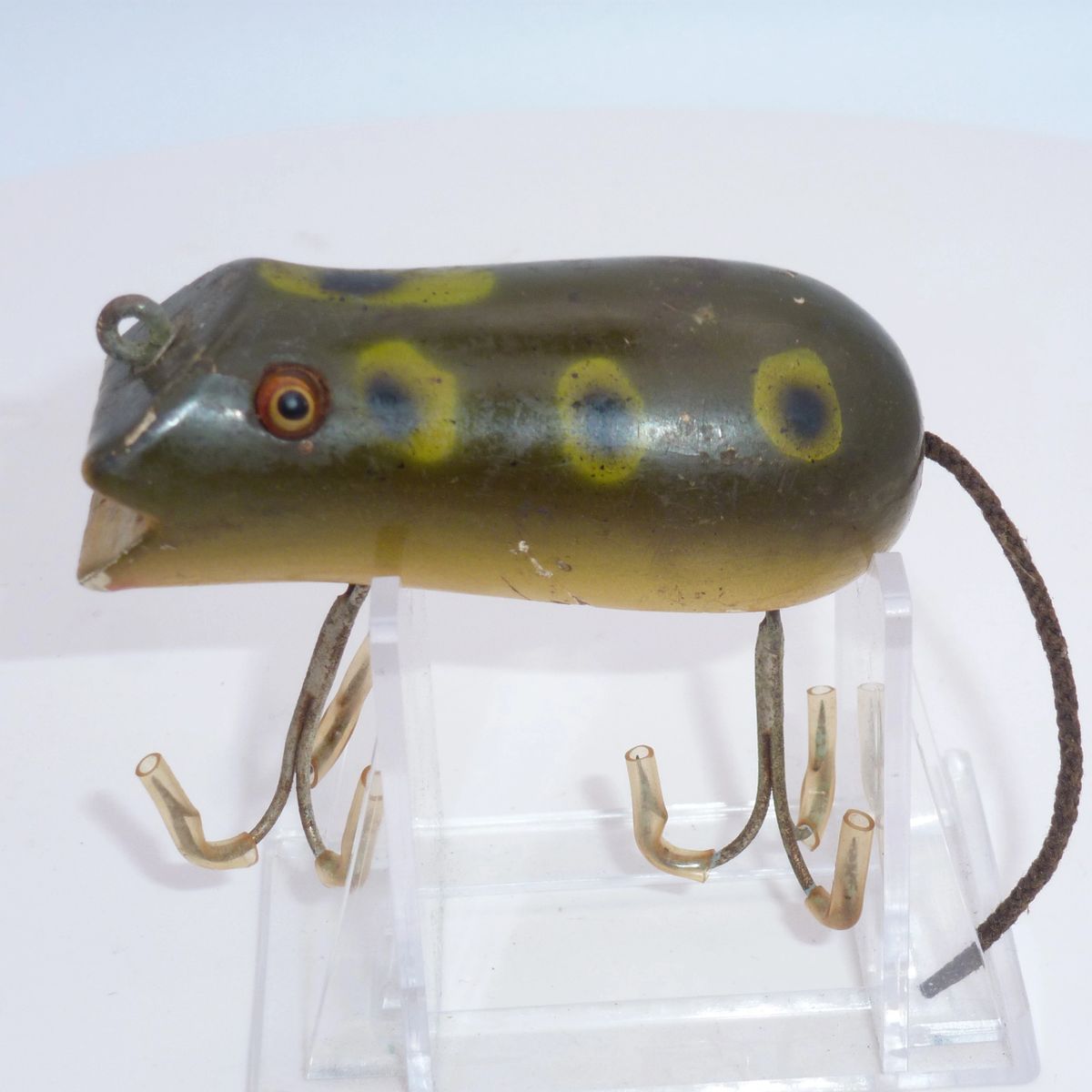 Glass-Eyed Shur Strike Mouse in Frog