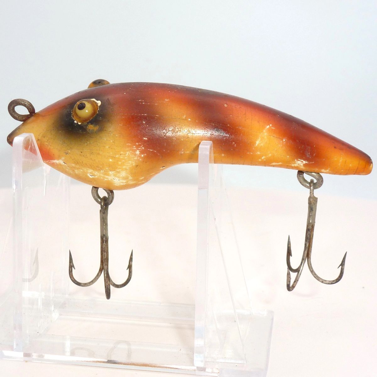 Moonlight Pollwog 809