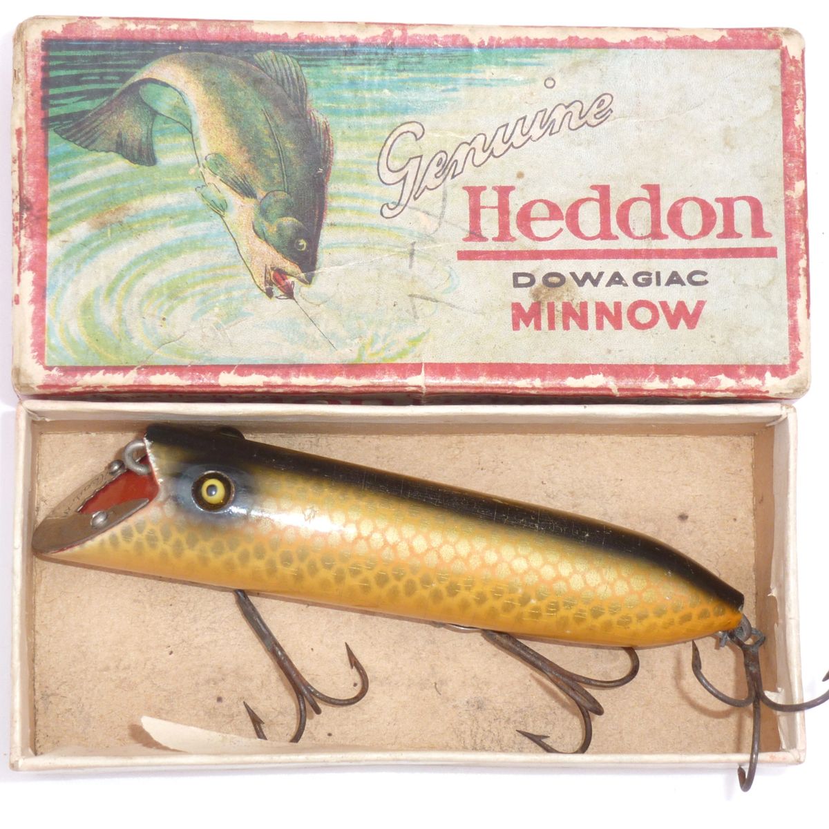 Beautiful "Head On" Shiner Scale Basser 8509P