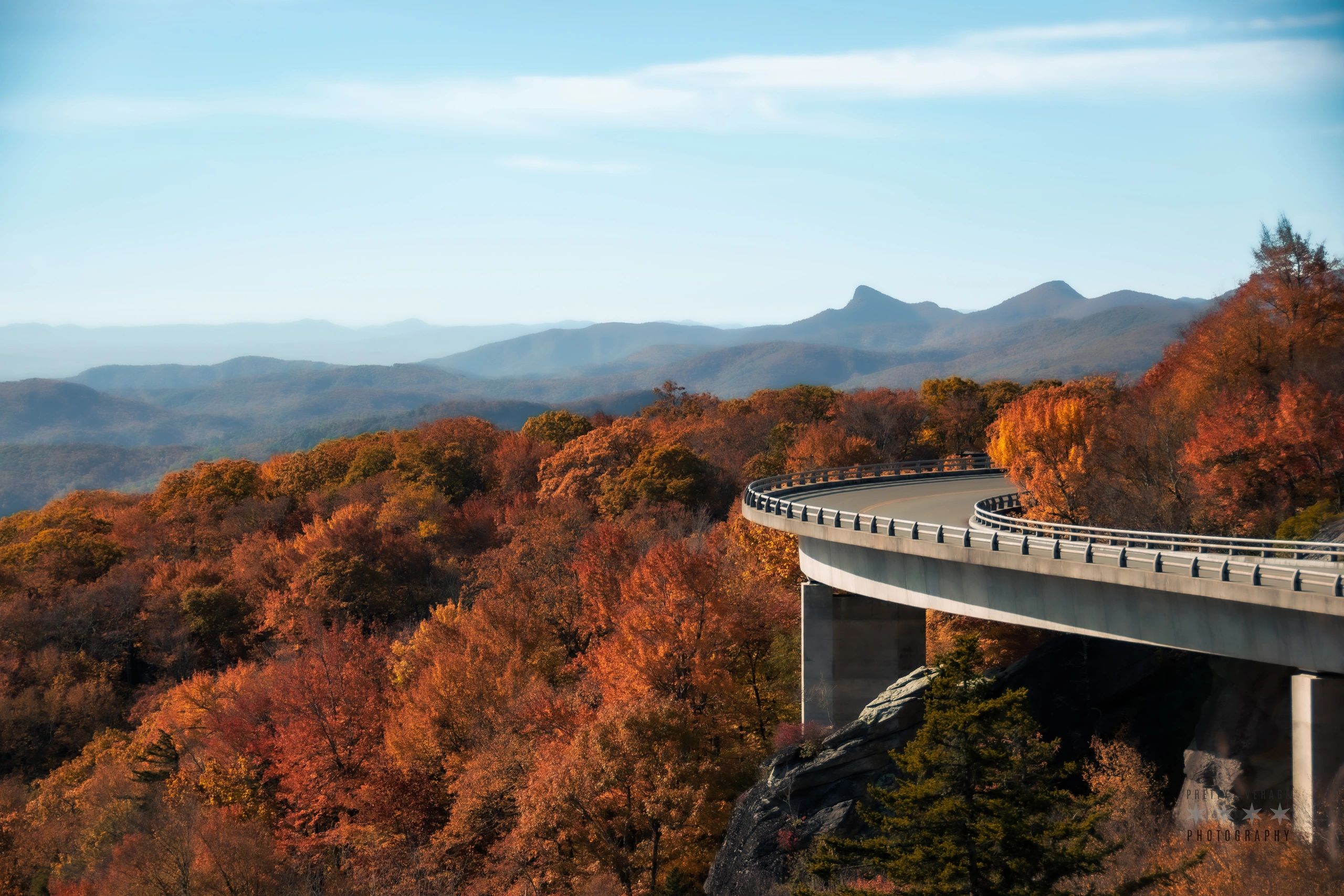 Photography - Pretty Average Photography