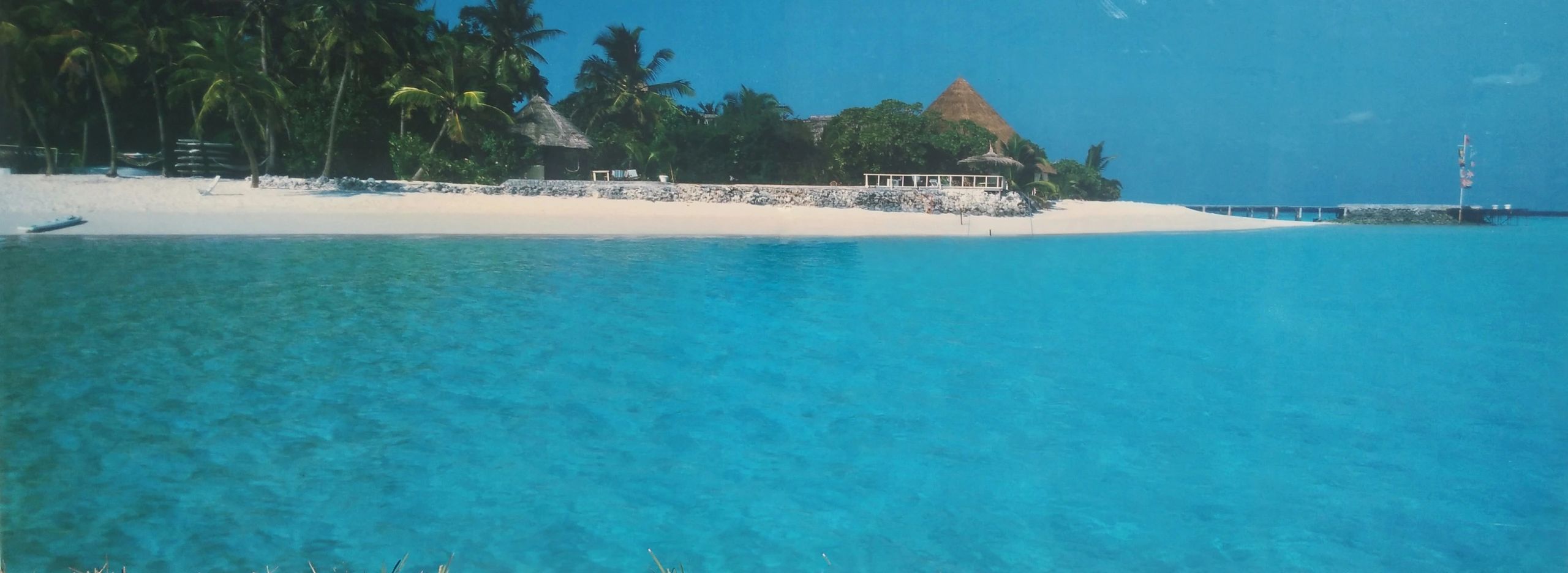 Join the Movement - Vote for Kirk Brown Today