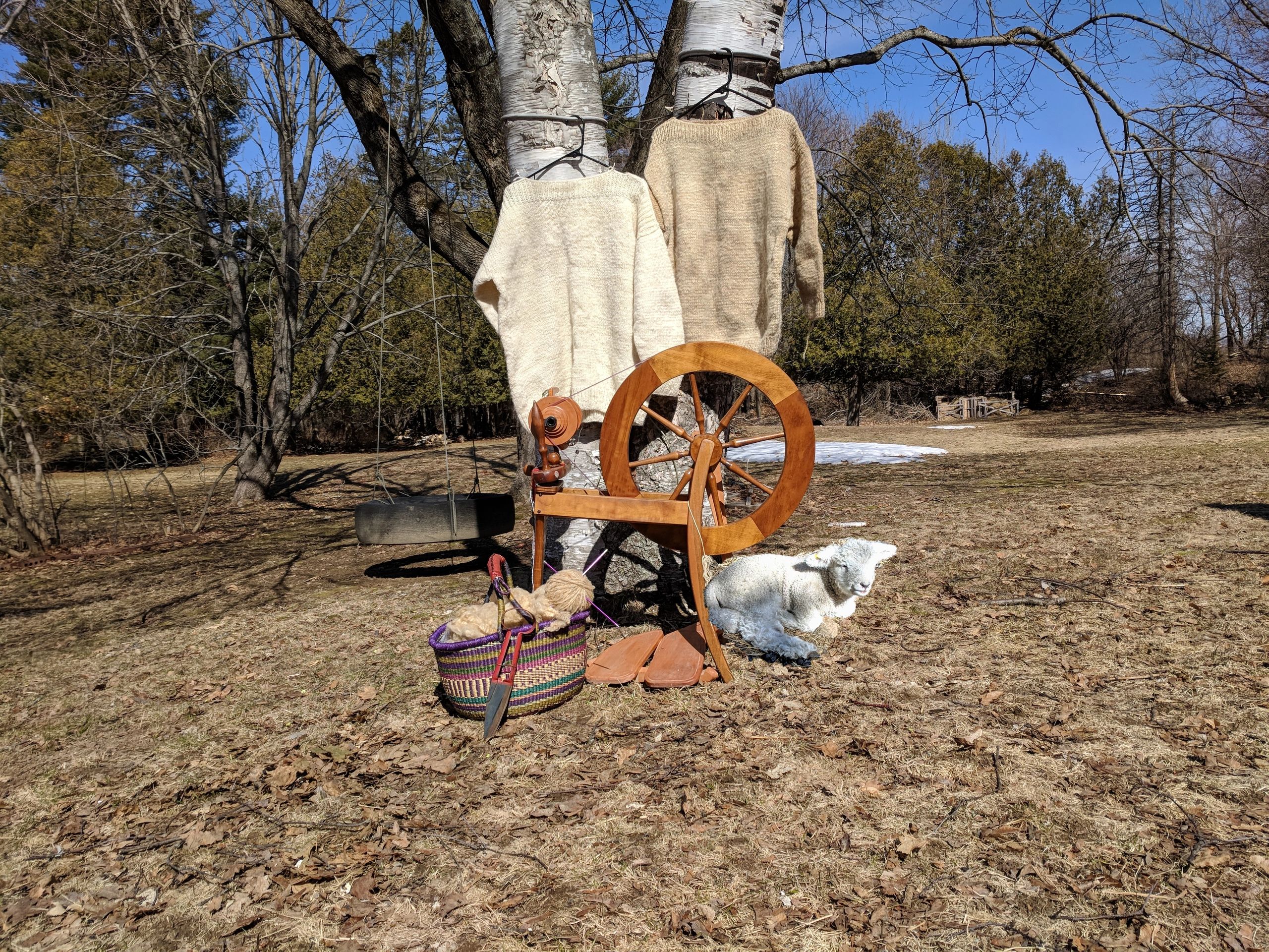 Stacey's Spinning Haven