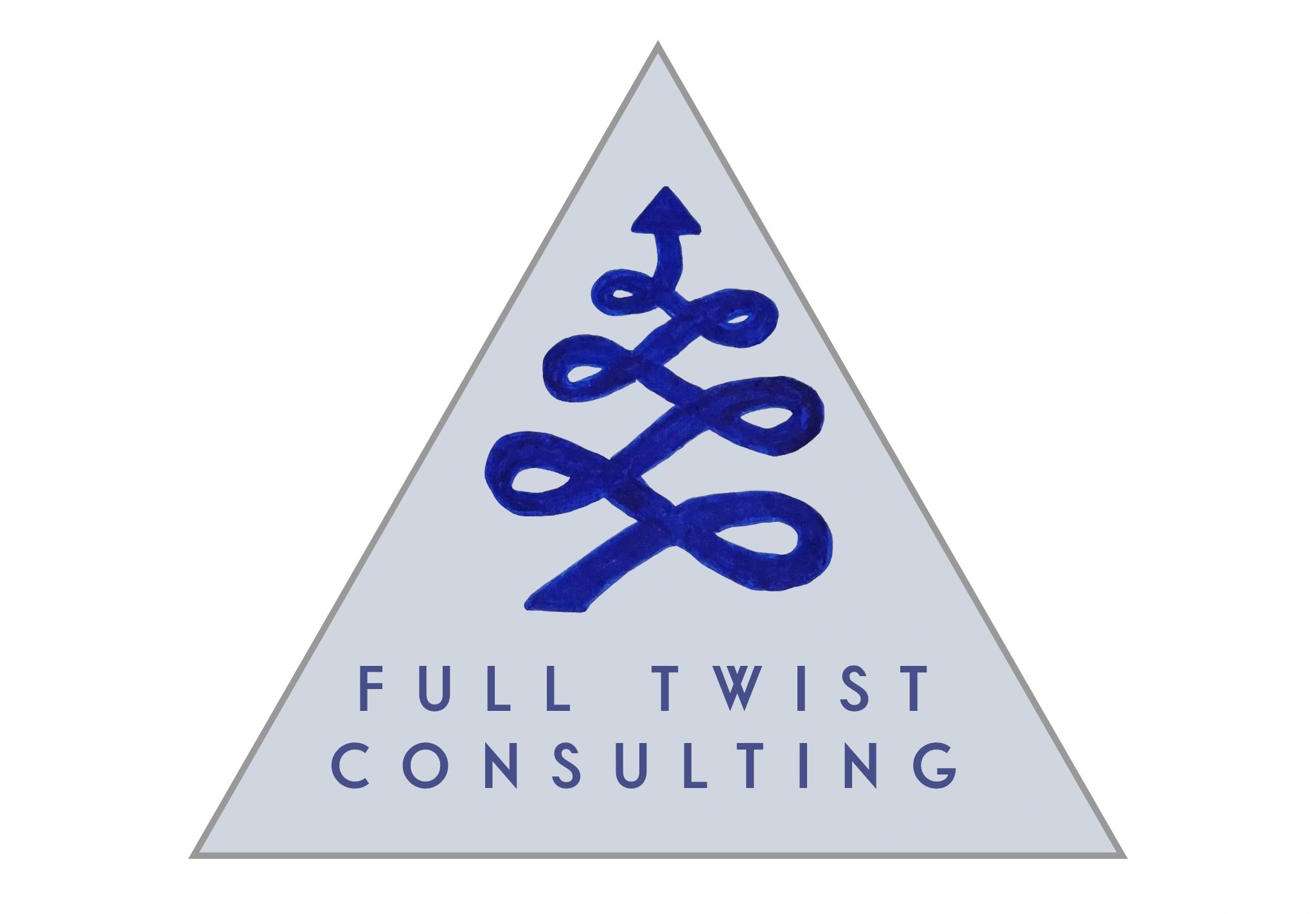 Full Twist Consulting, LLC - Business Consultant, Project Management ...