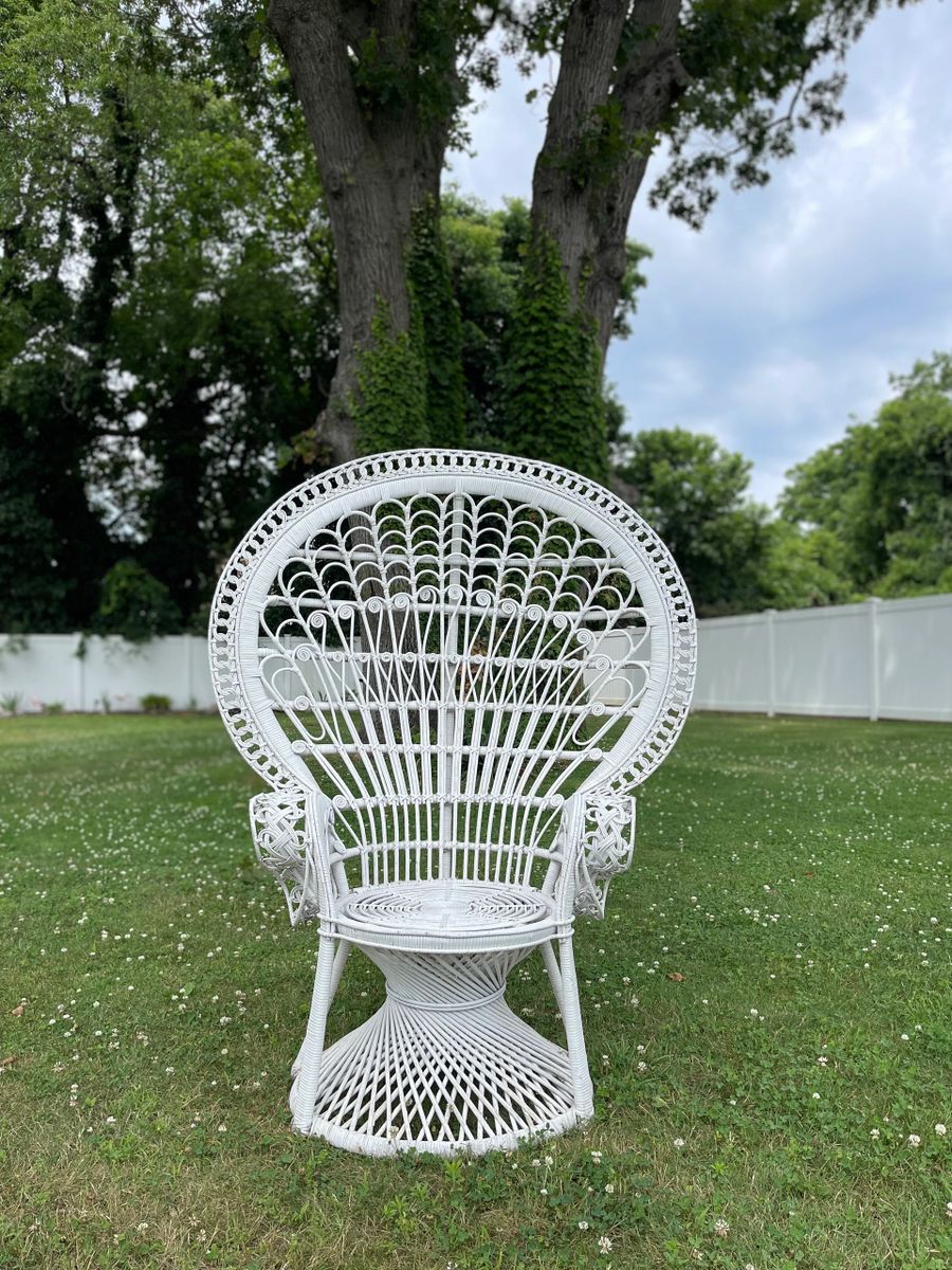 Princess Diana Wicker