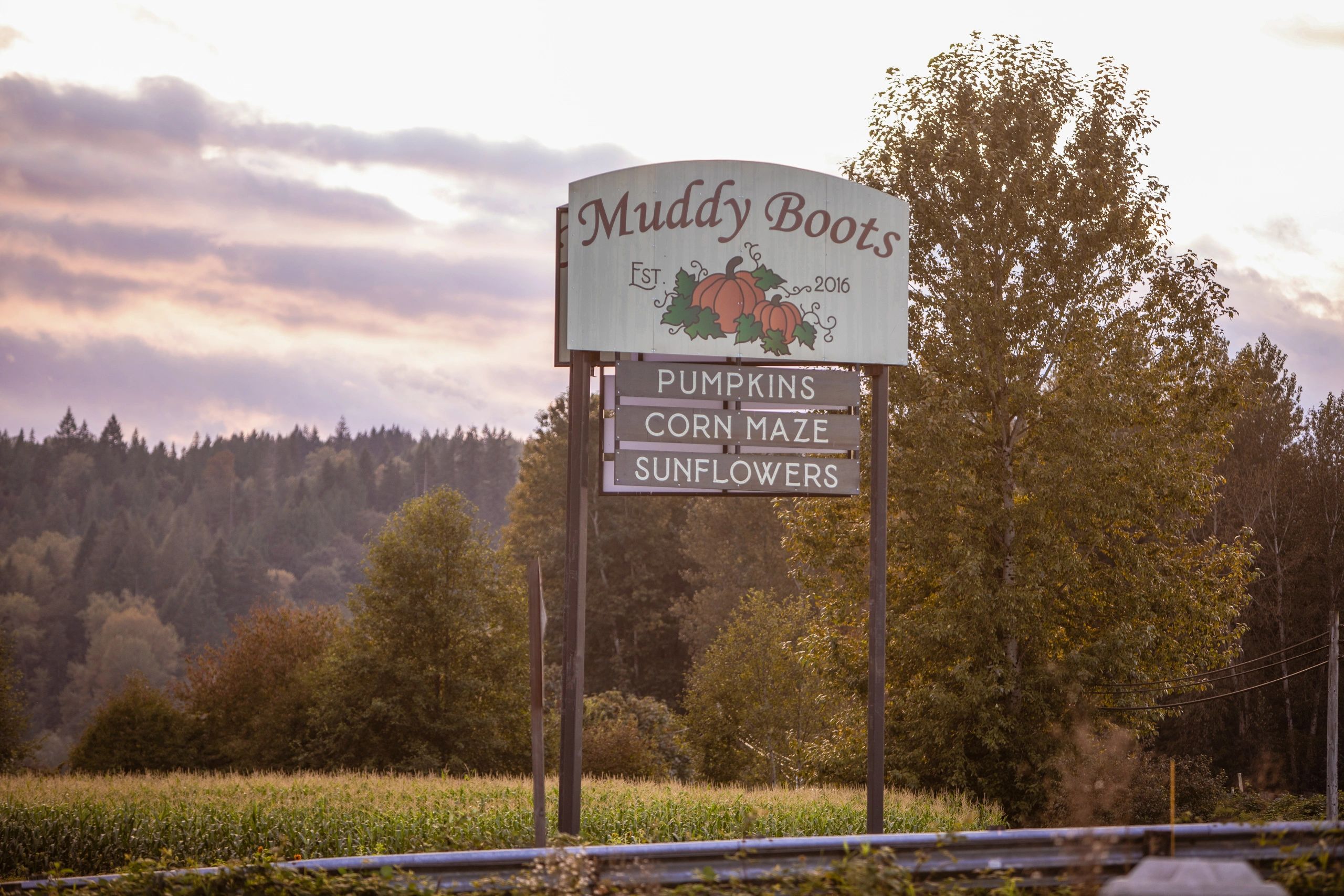 About Muddy Boots