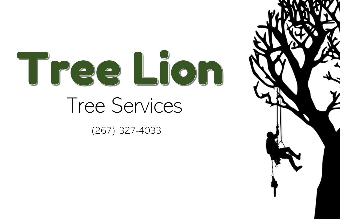 Tree Lion Tree Service LLC