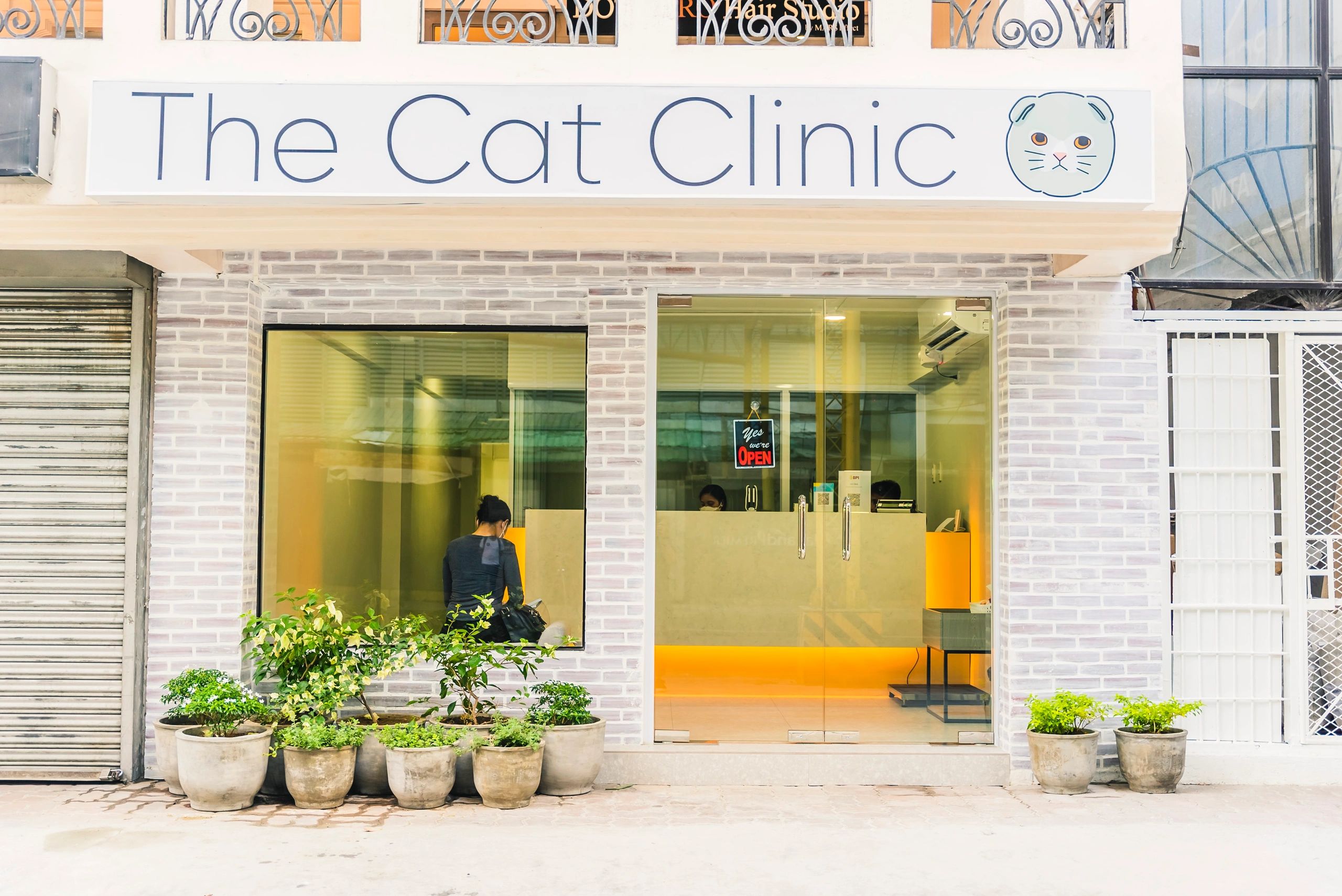 The Cat Clinic
