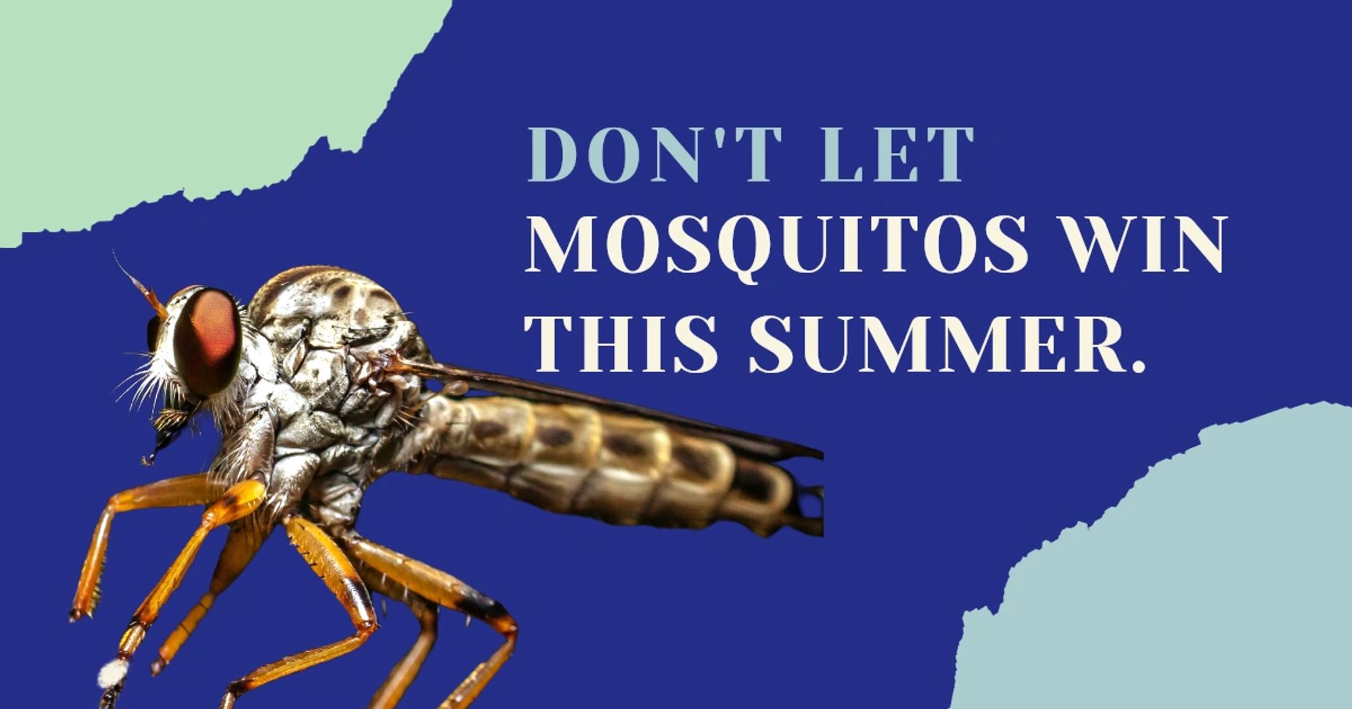 Chesapeake Pest Control