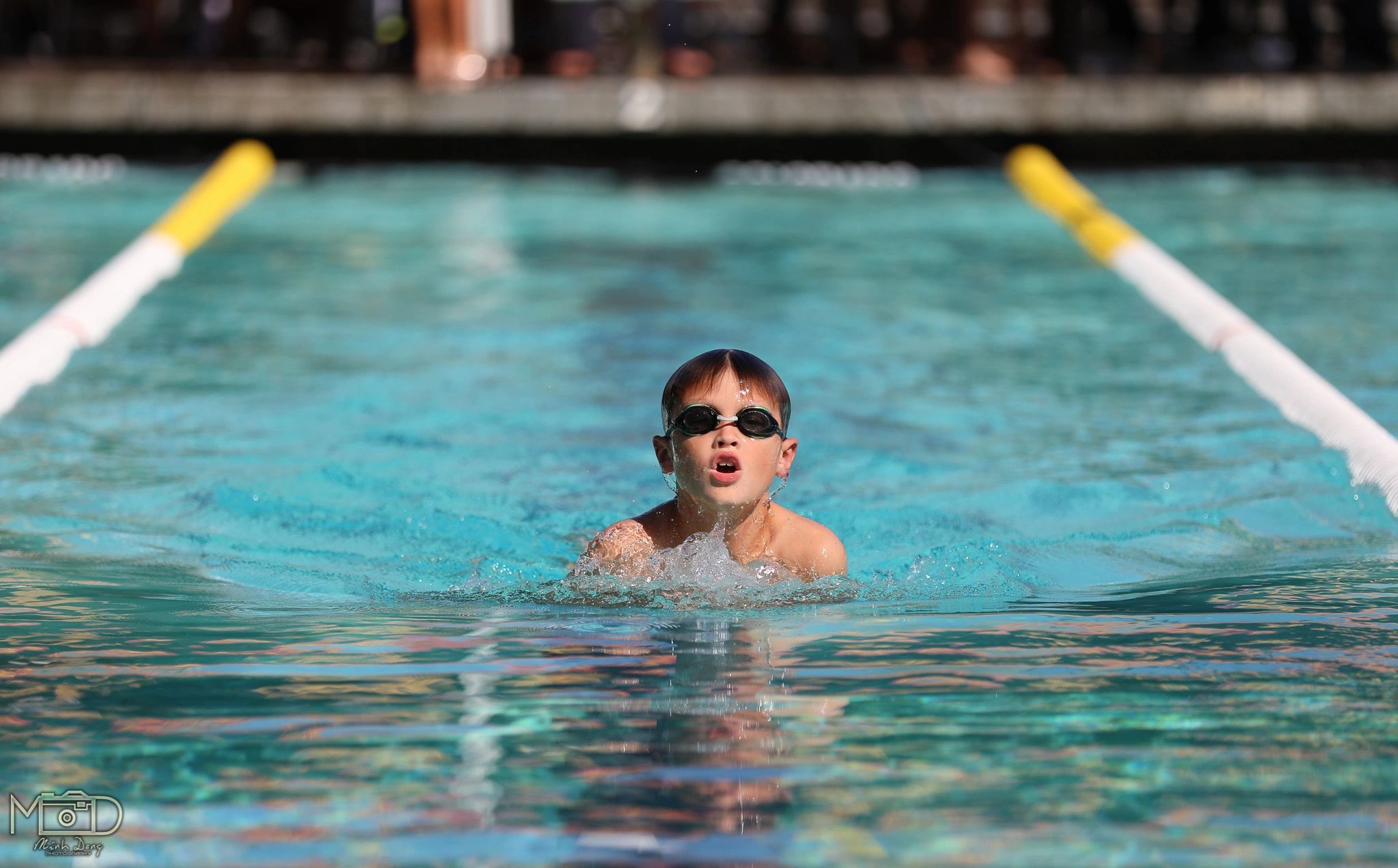 Power Up Your Swim Skills with Fall Swim at Harbor View!