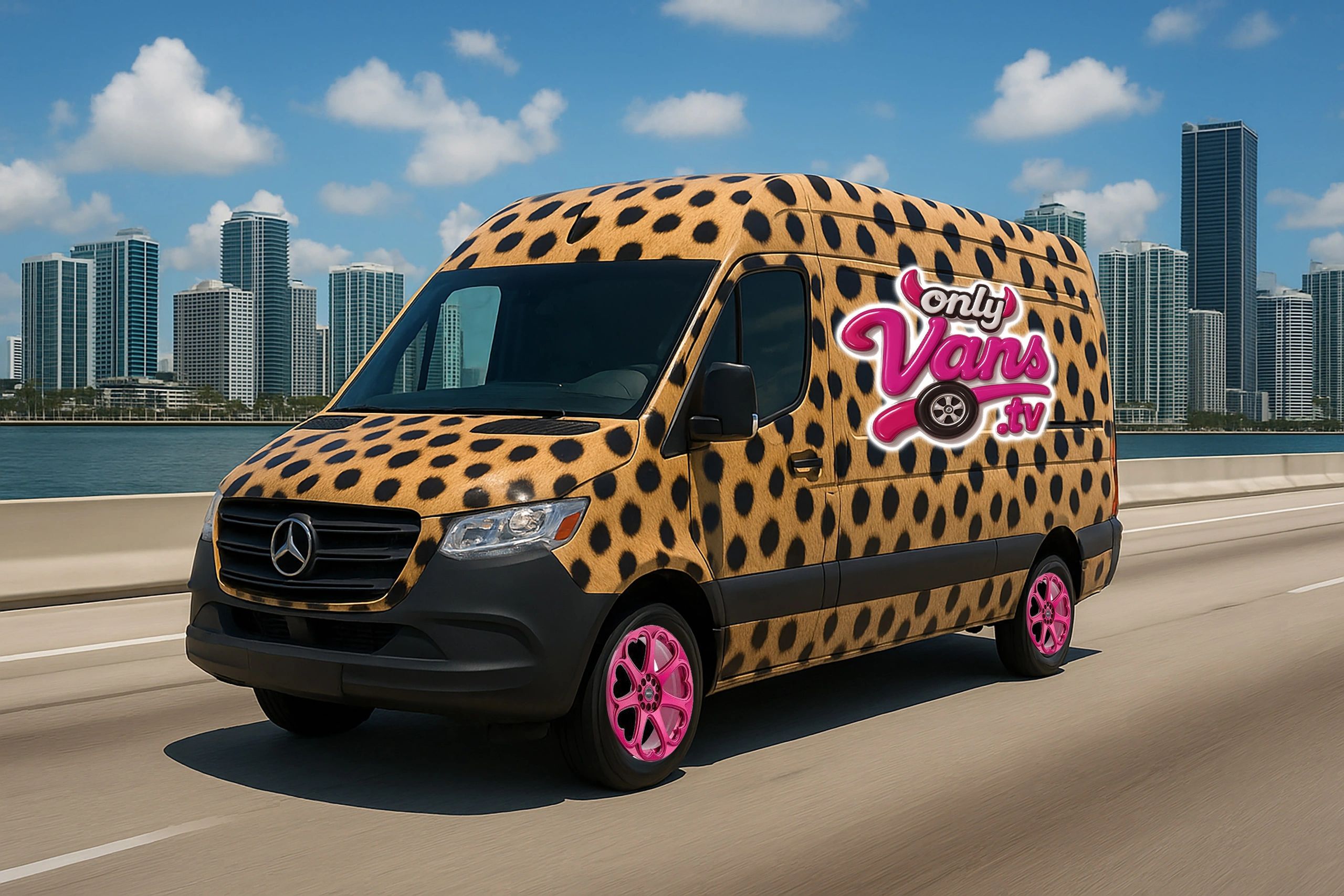 ONLYVANS.TV