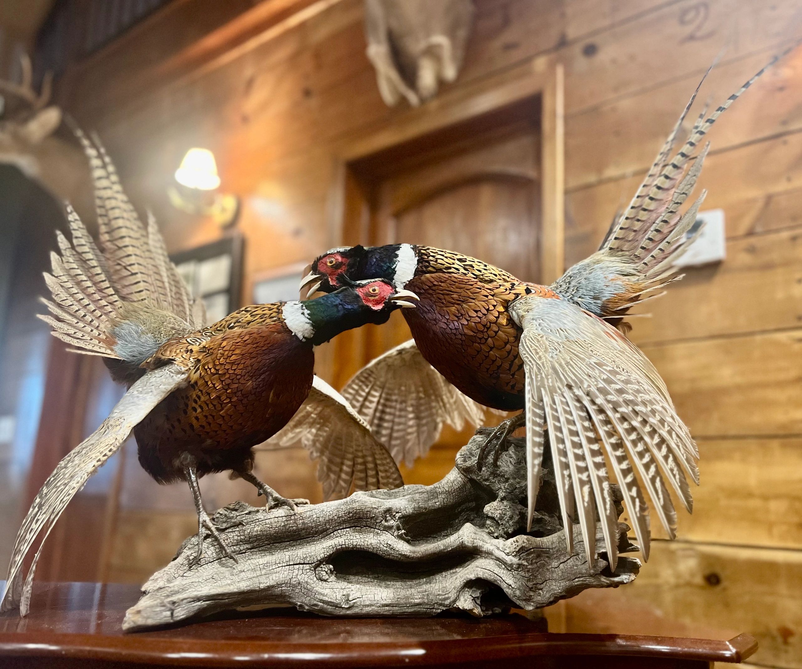 The Economic Impact of South Dakota Pheasant Hunting