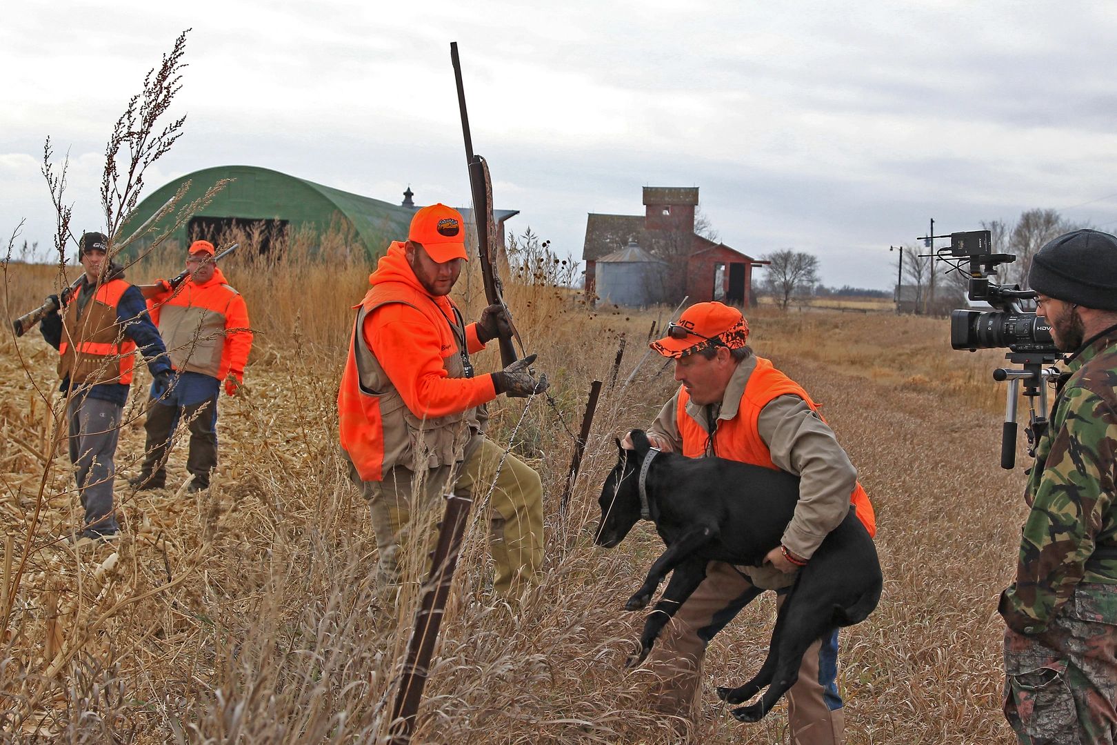 Insights from Experienced Pheasant Hunting Guide