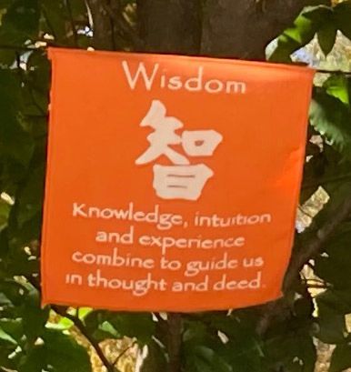 Wisdom