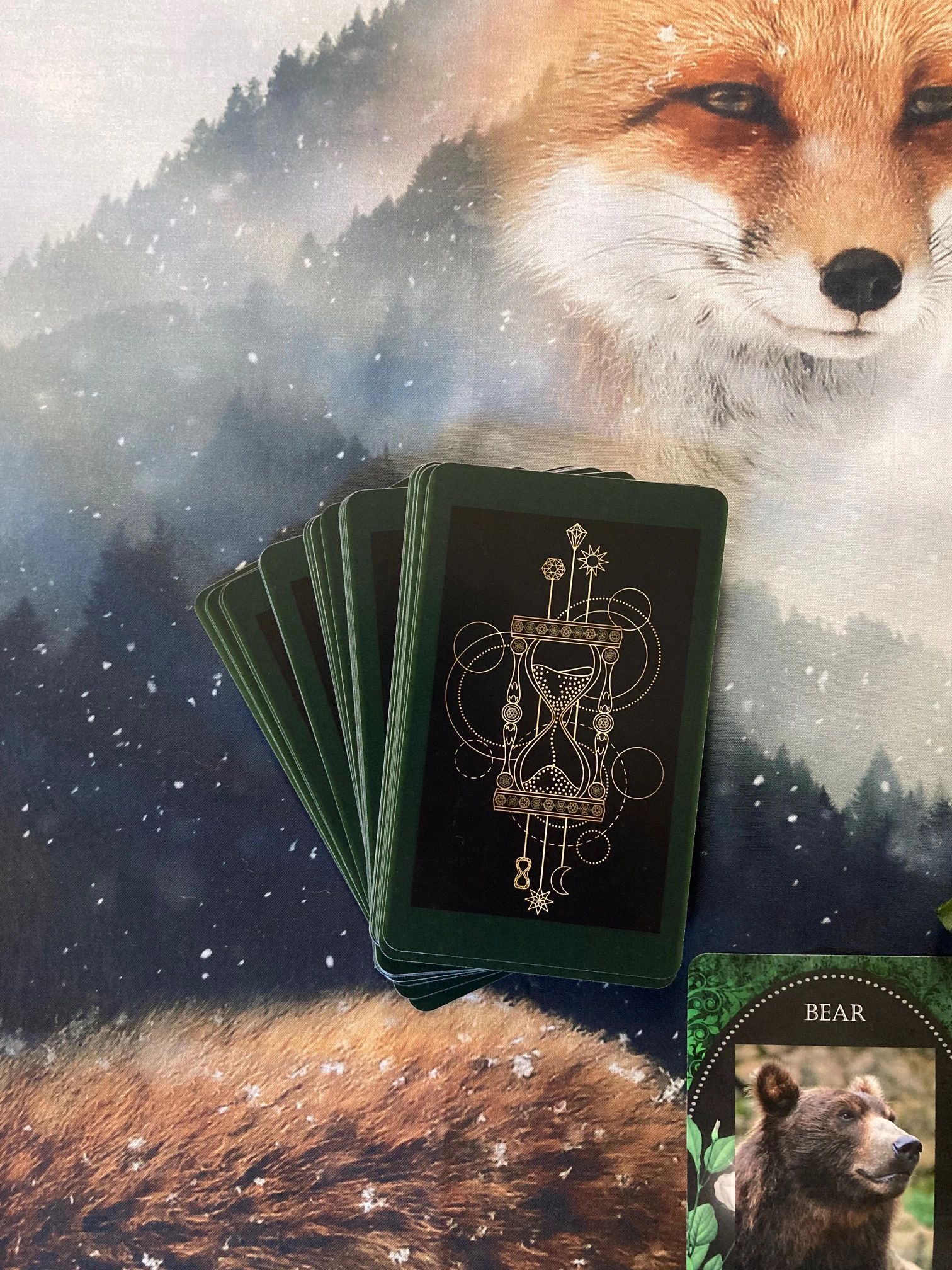 'The Time Temple Oracle Cards' - Ancient Oak Tree Forest Wisdom