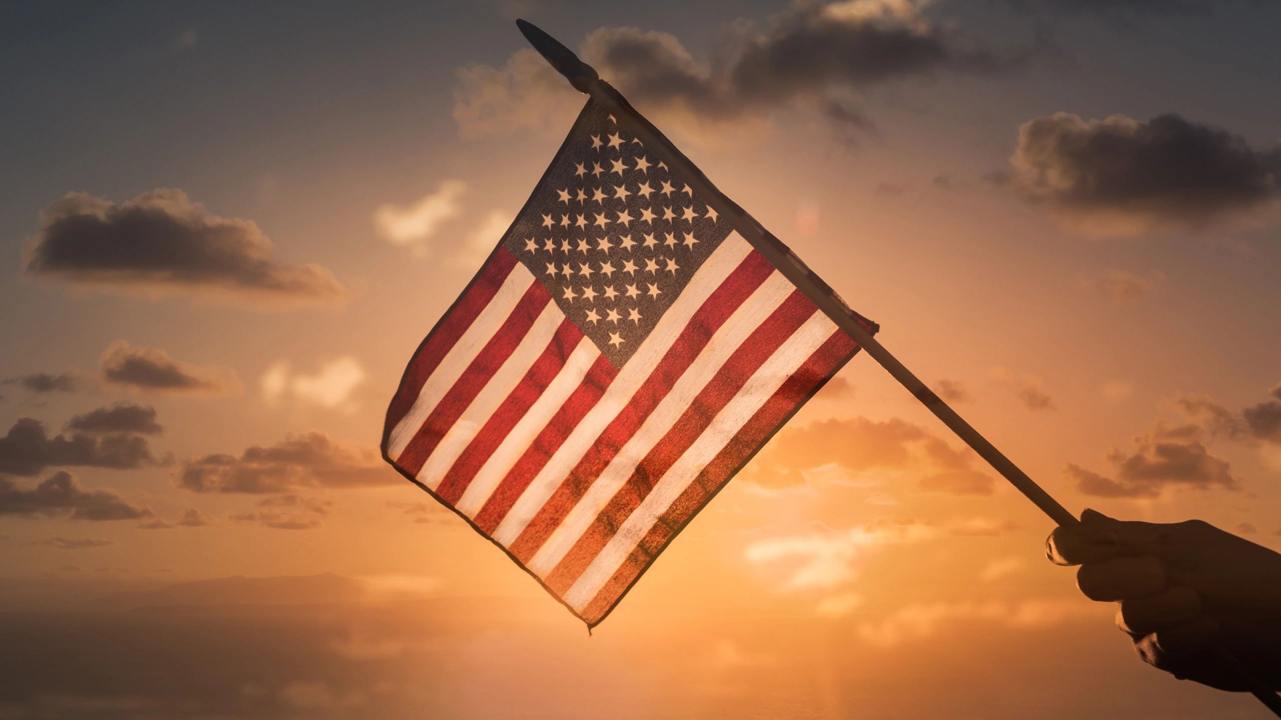 Internal Medical Specialist - F J Halloran MD