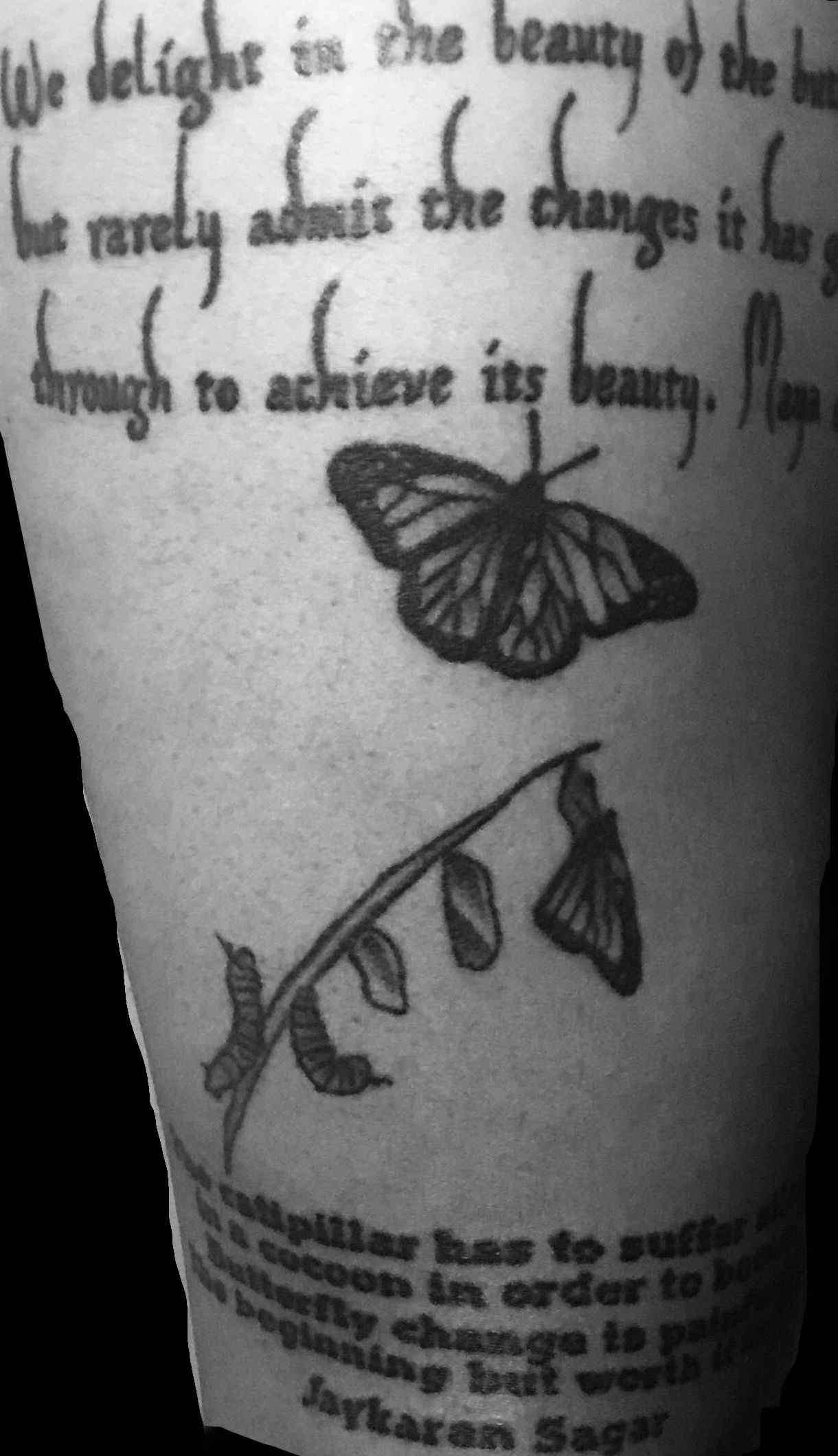 Metamorphosis Butterfly Tattoo