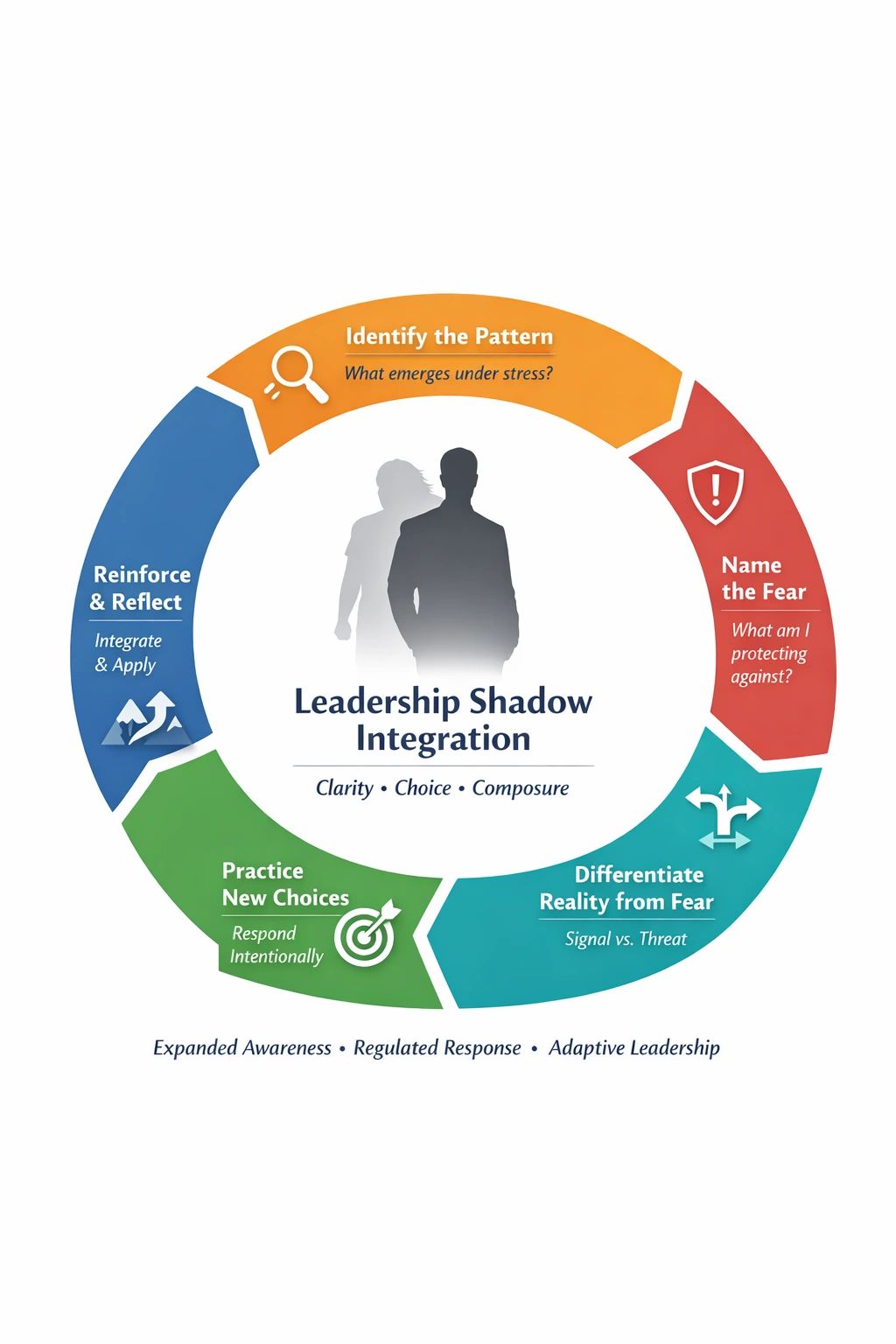 Leadership Shadow Dialogue: A New Paradigm for Executive Coaching