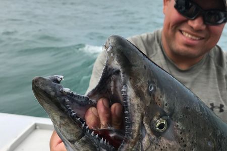 IRISH HAMMER SPORTFISHING