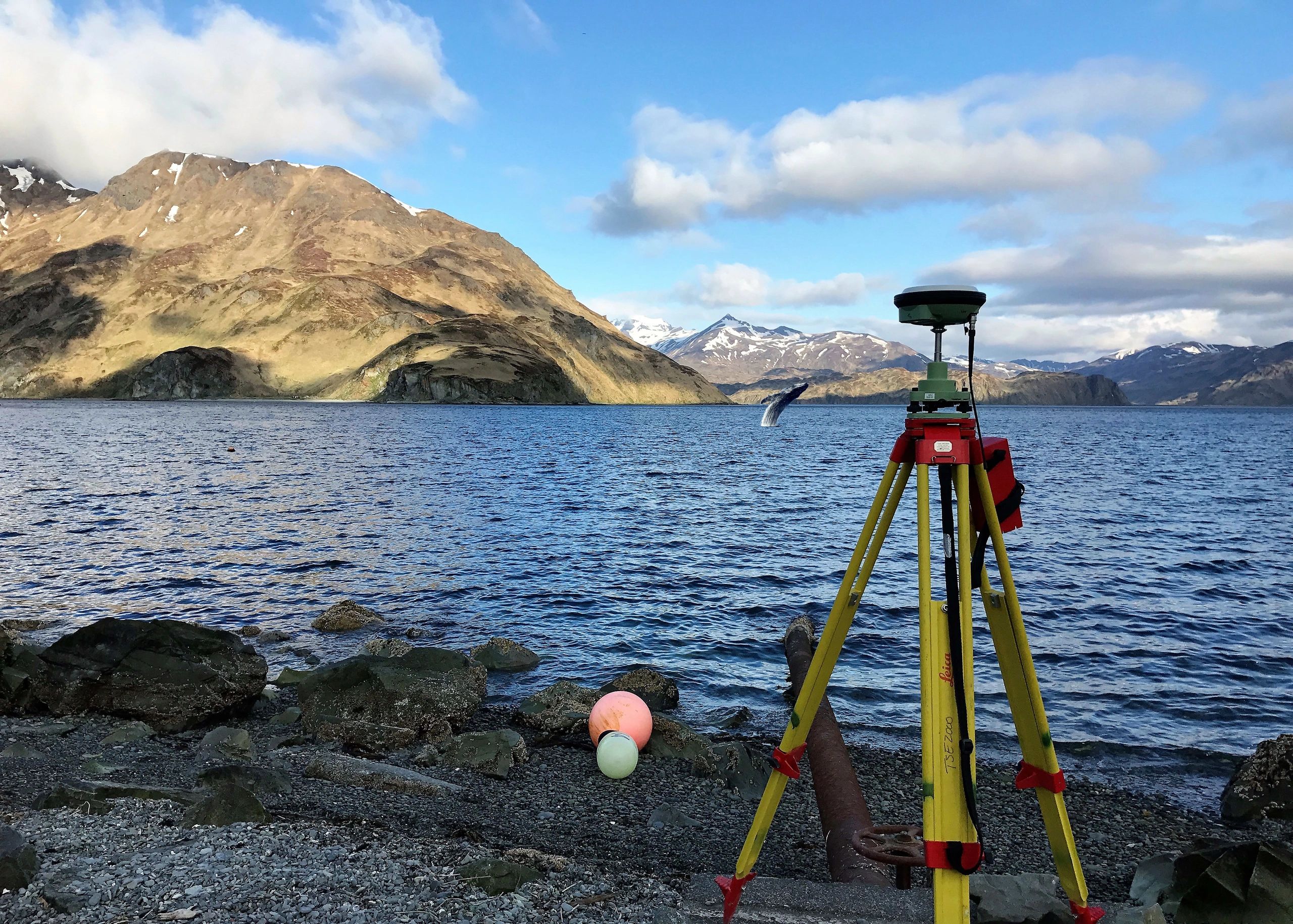 Remote Survey Boat - Delphis Technical Support & Solutions, LLC.