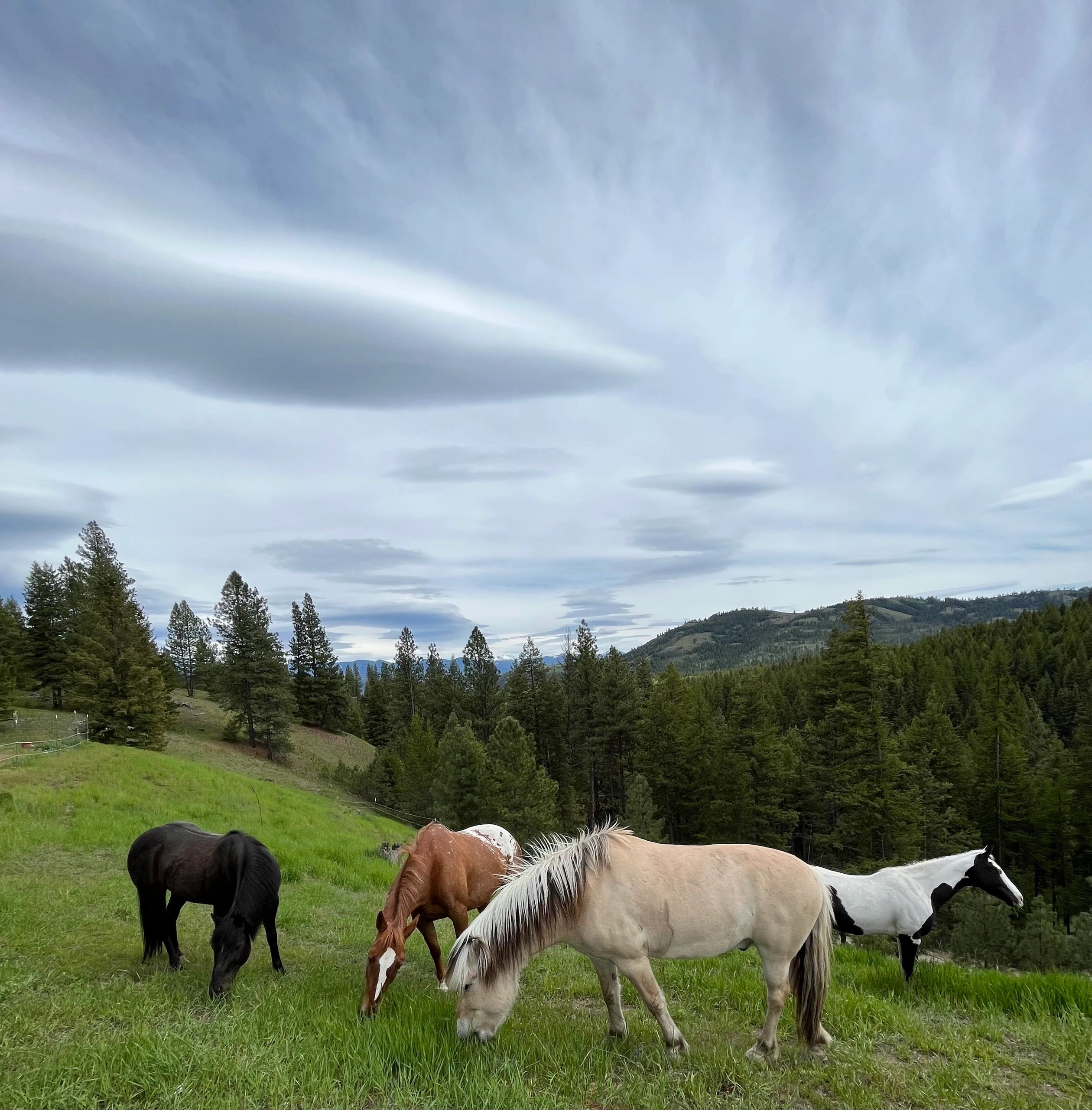 Map of Course Locations