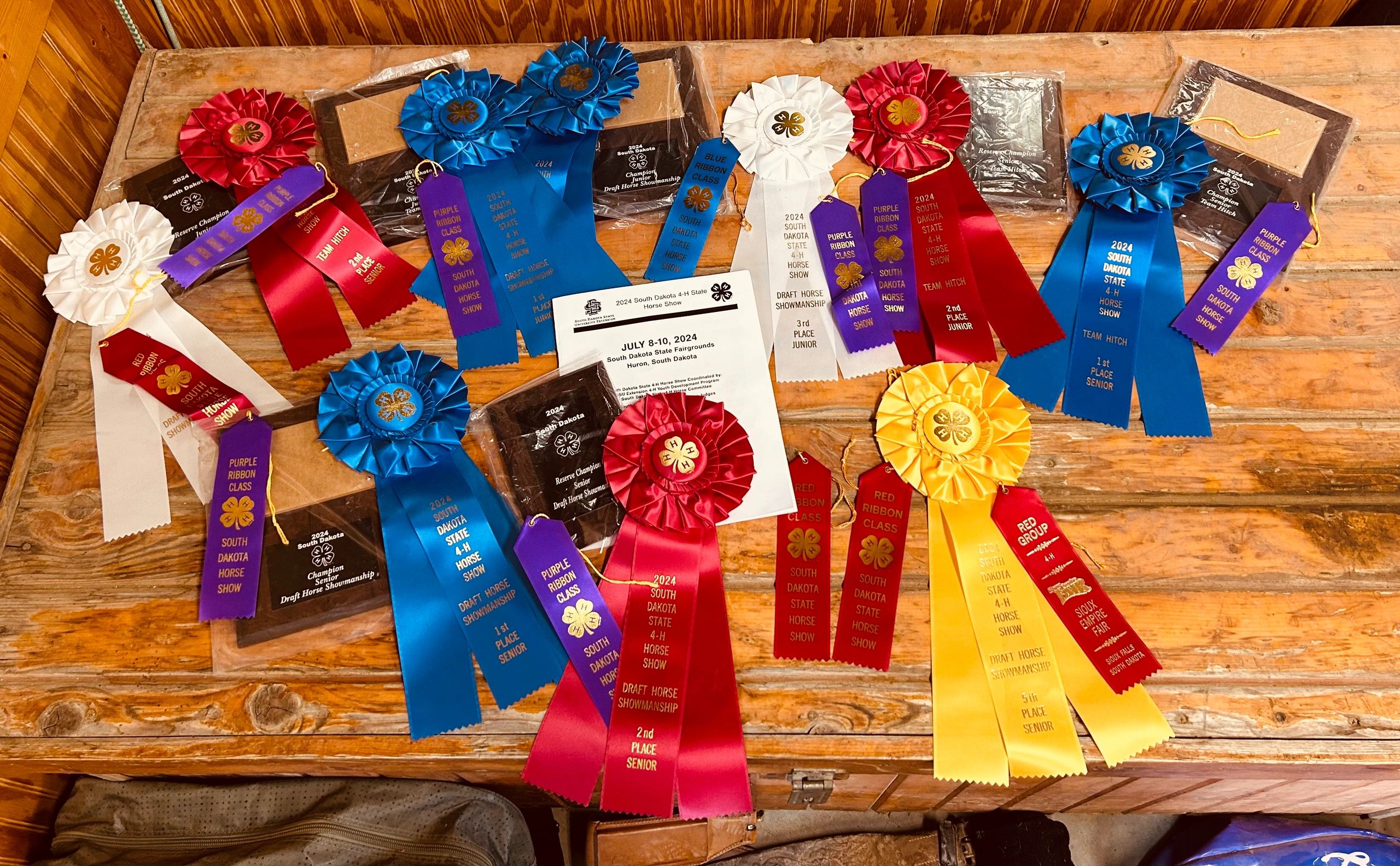 McCrossan 4-H Shines Bright