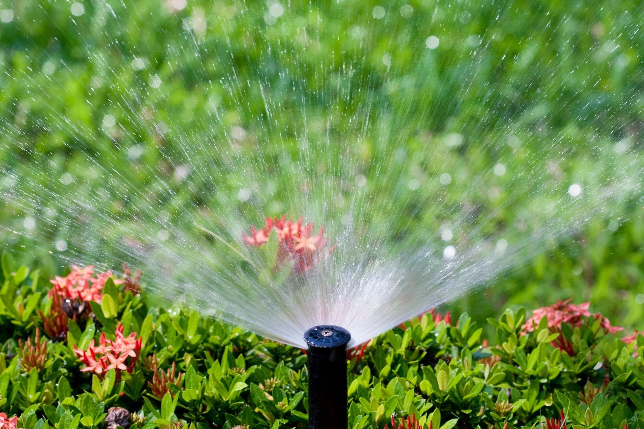 Rain Bird Sprinkler System Installation | Sunshine Irrigation Co