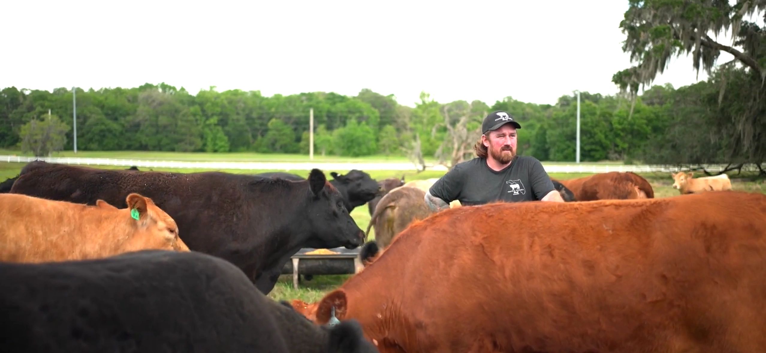 Central Florida Beef