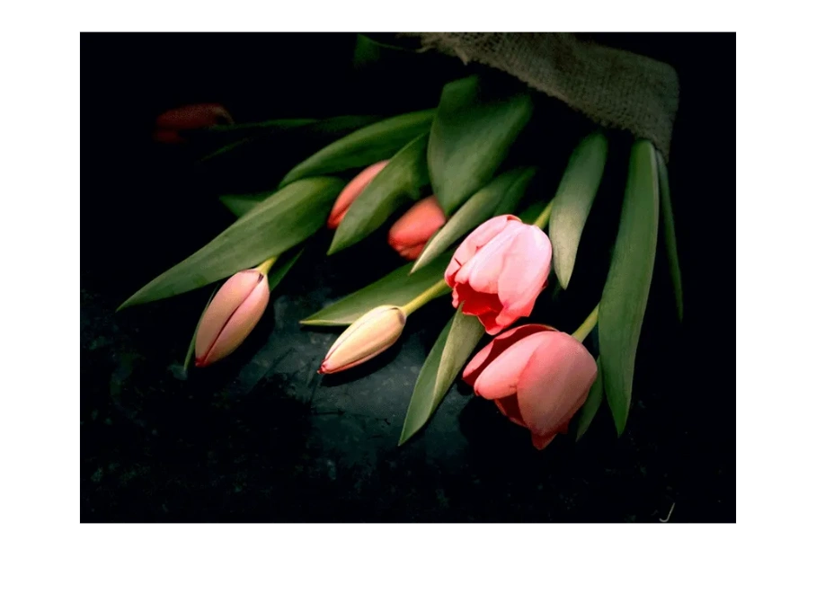 Unique Bouquets | Flower Farm Studio