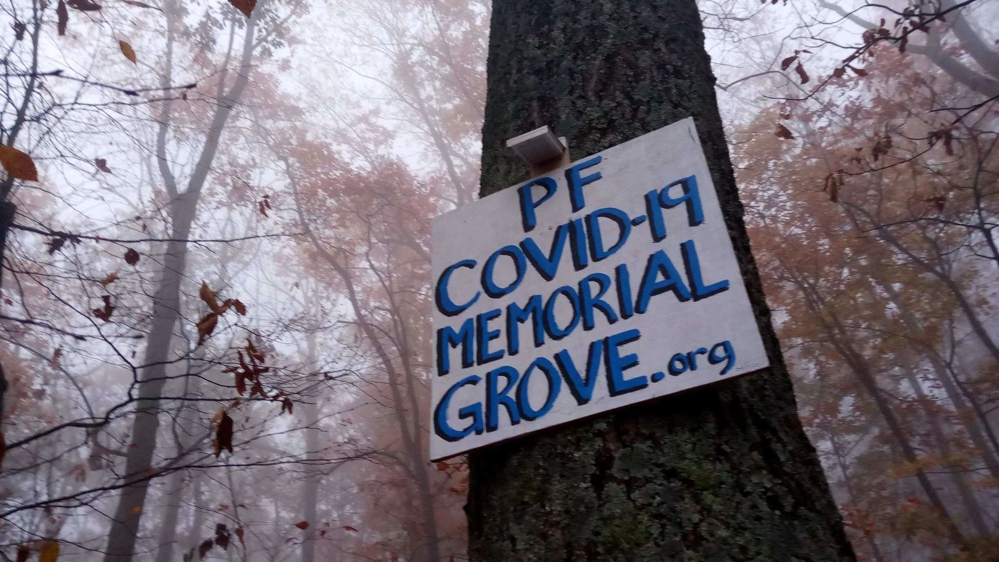 Covid-19 Memorial Grove: Honoring Lives Lost