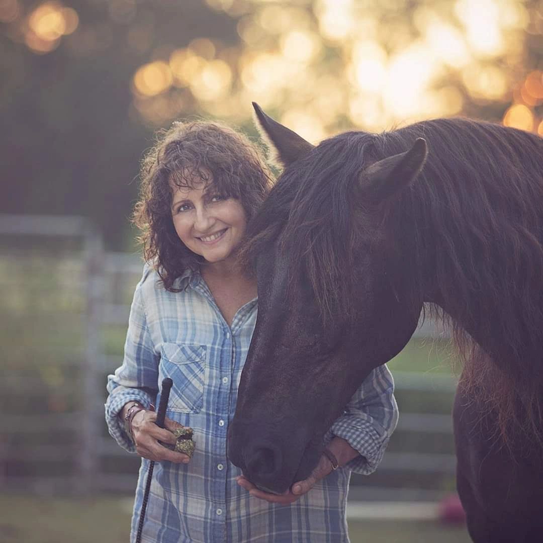 Equine Supported Mental Health Services | Horses for Life