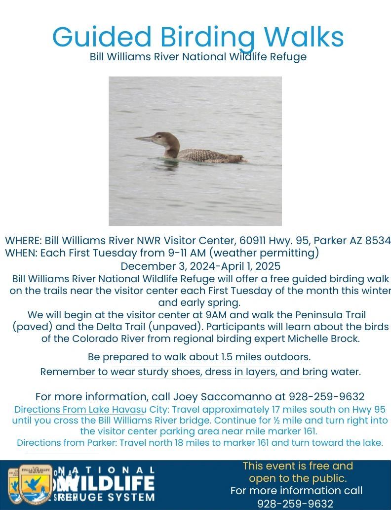 Guided Bird Walks Start at "Bill Will" Next Tuesday