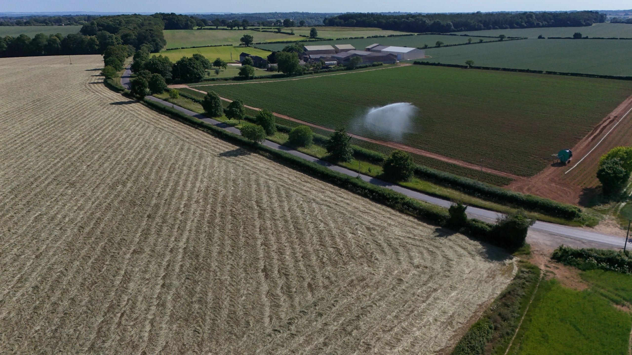 Green Farms