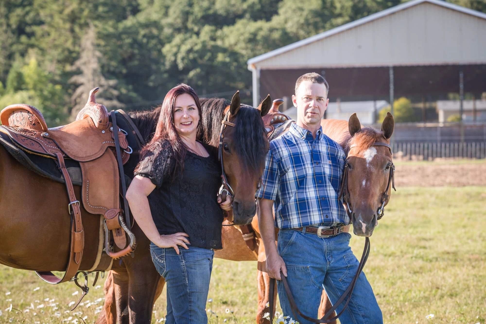 Sale Horses