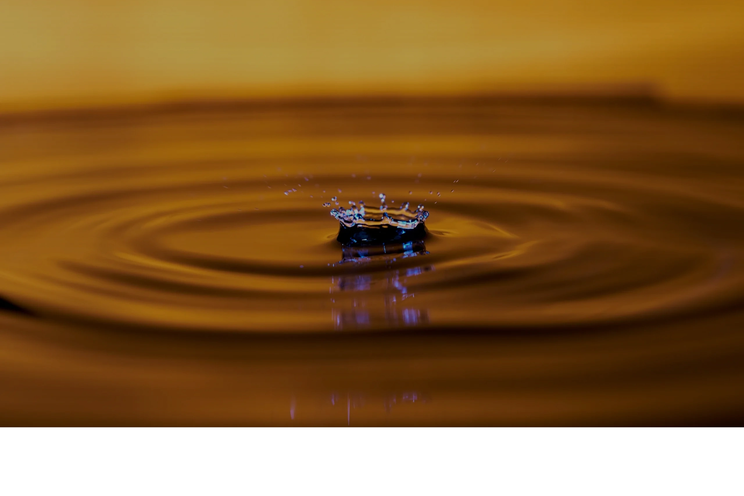 WHS Water - CDA Water Quality, Coeur d'Alene Water