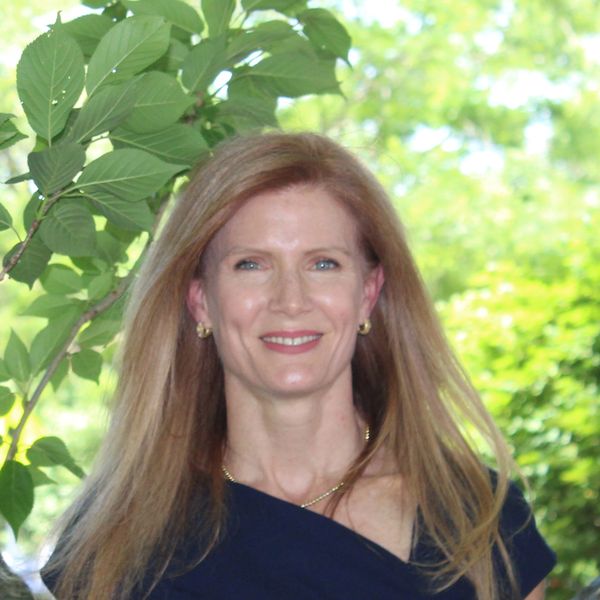 Hillsborough Democratic Organization