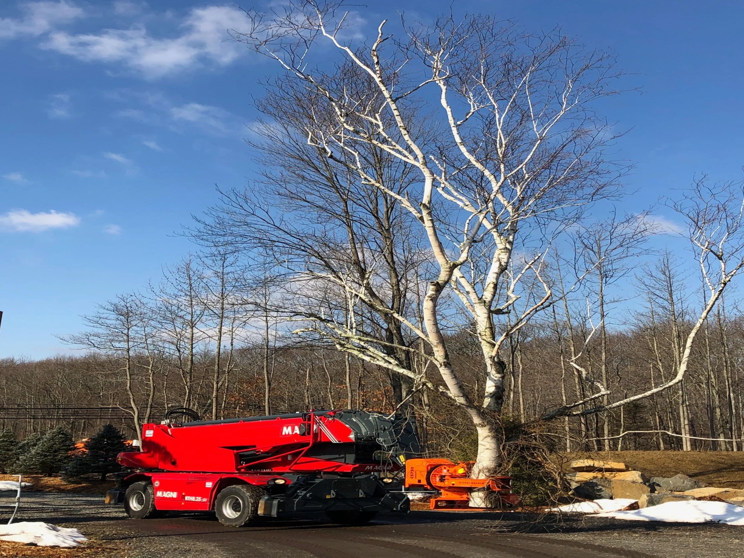 Bunker Hill Tree Service - Tree Service, Tree Removal