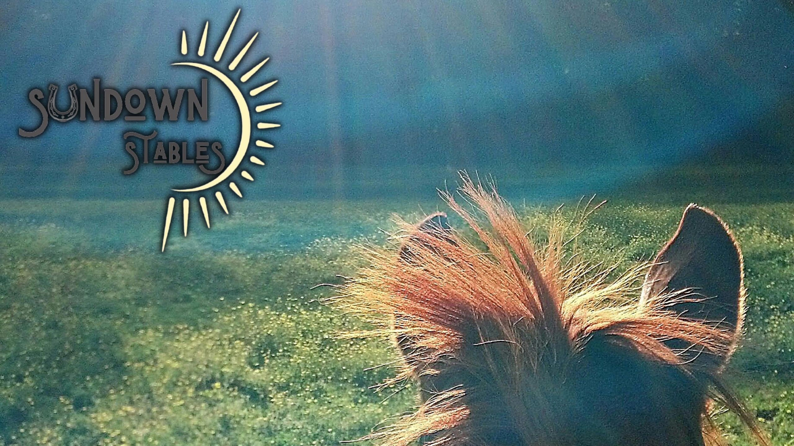 Sundown Stables