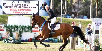 Equizen Pro - FEI Compliant Focus & Composure for Horses