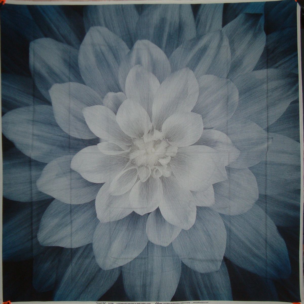 Hoffman Fabric: DREAM BIG PANEL/Slate, HF-P4389, sold by the panel