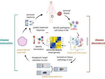 The Wei Lab