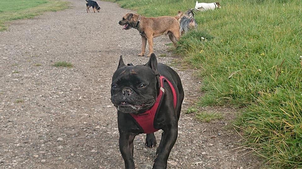 Gary's tale.........