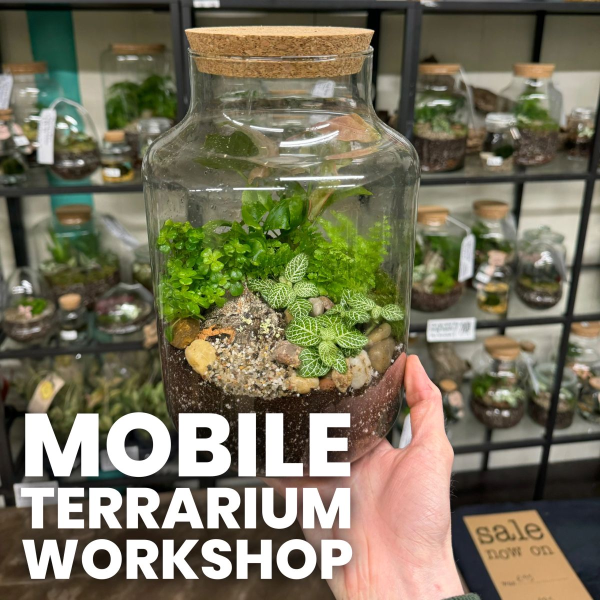 MOBILE - Tropical Terrarium Workshop