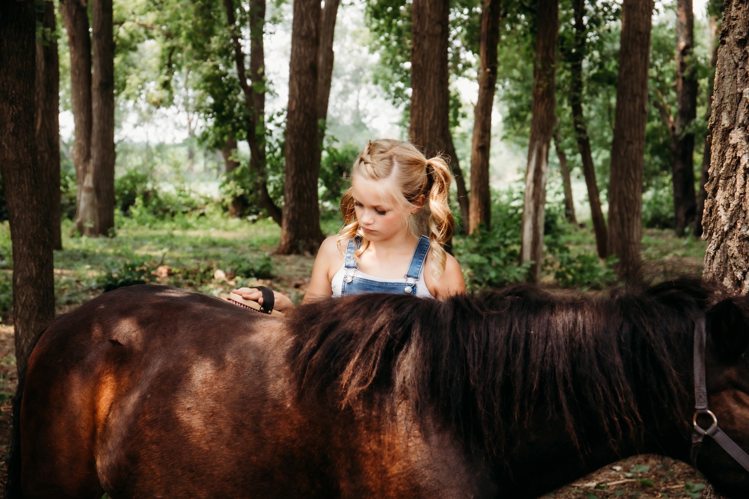 Ponies for Parties - The Rosie Pony