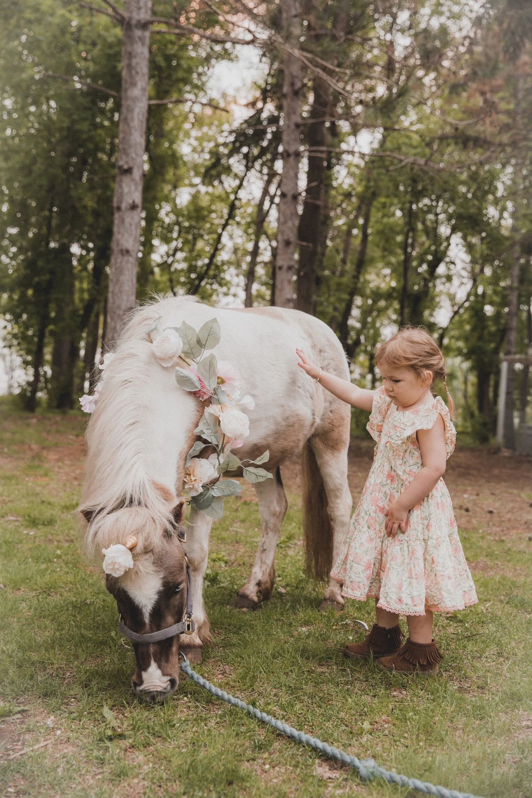 Ponies for Parties - The Rosie Pony