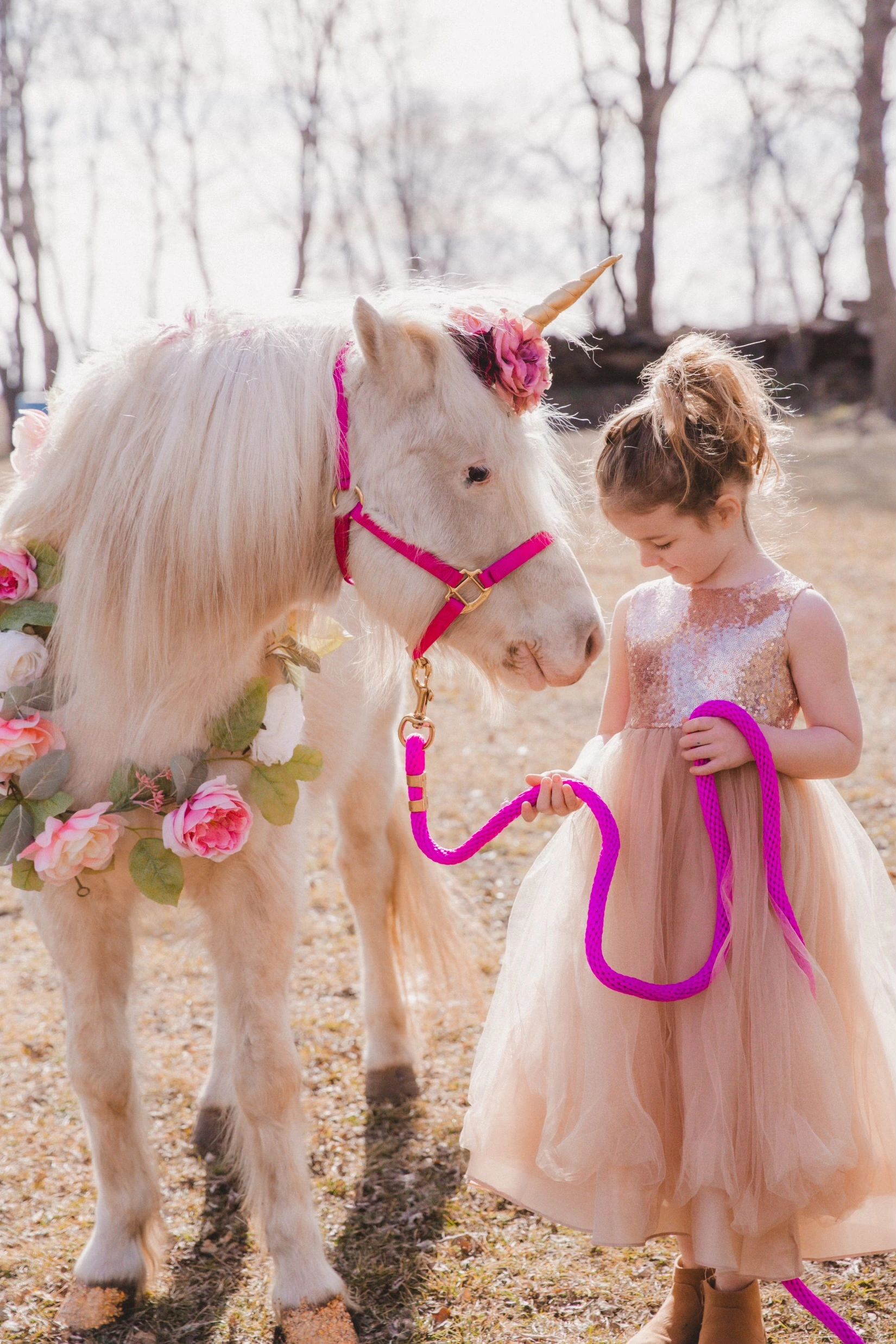 Ponies for Parties - The Rosie Pony