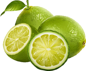 Comercializadora Villa Flor | Comercializadora Villa Flor