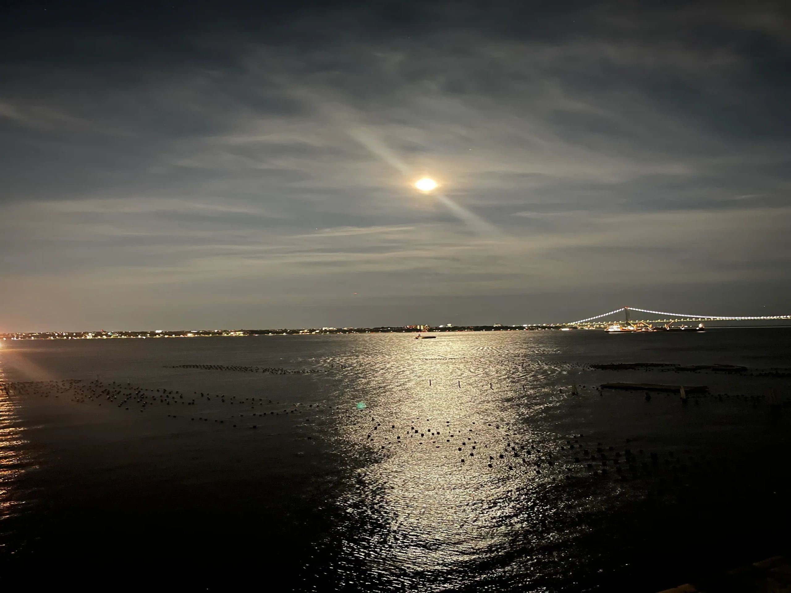 Stark Education Franchises