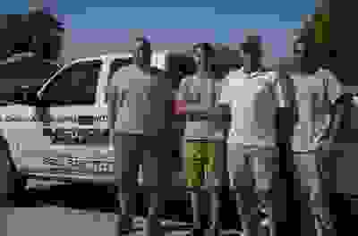 Electronic Wizards - Home