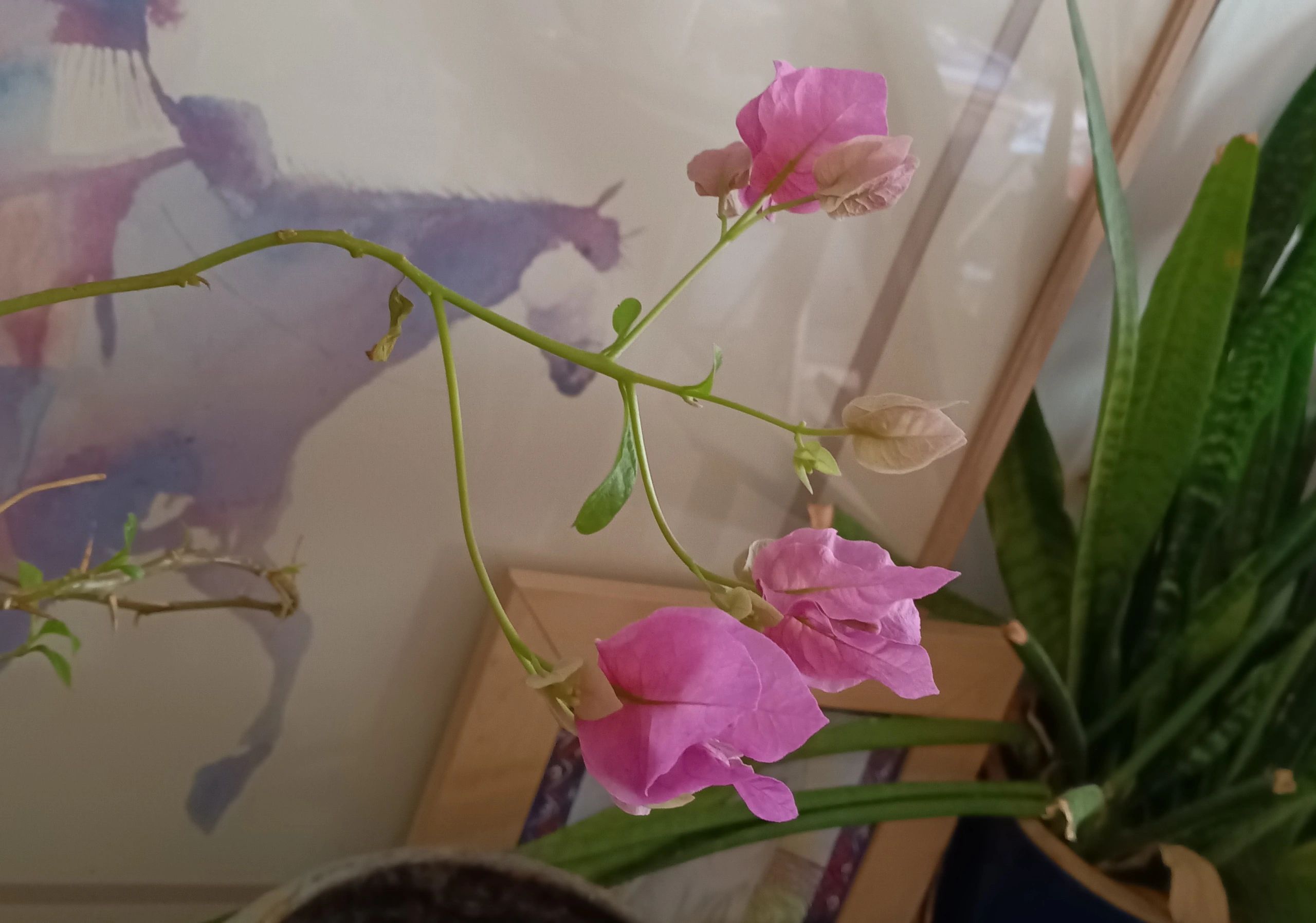 Co-creating Wellness