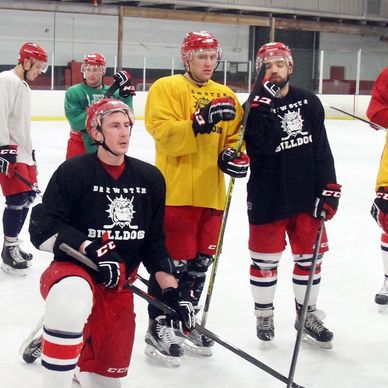 Brewster Ice Arena - Skating, Sports, Hockey